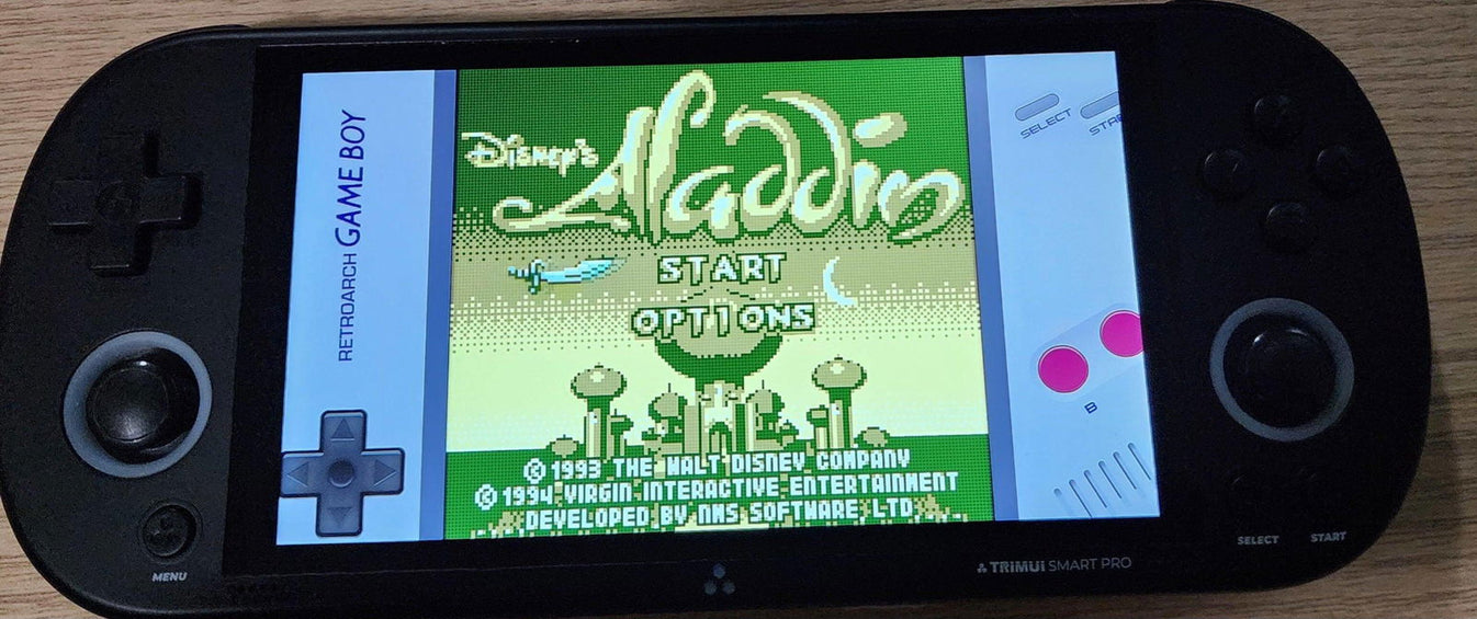 New Trimui Smart Pro custom OS 256GB handheld gaming console, 5 Inch I ...